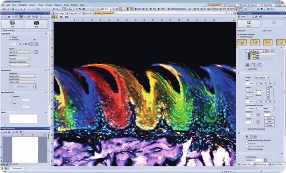 Olympus cellSens imaging software 1.12 offers new functions